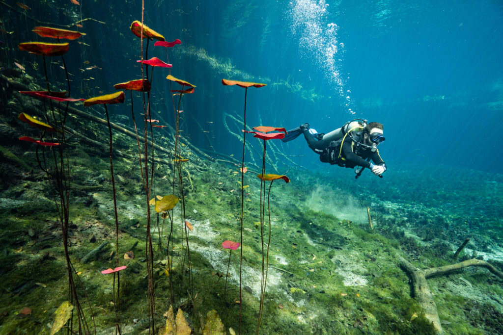 Cenote Photography – Driftcurrent Adventures